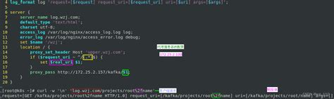 Nginx八十六uri转义终谈nginx Uri Csdn博客