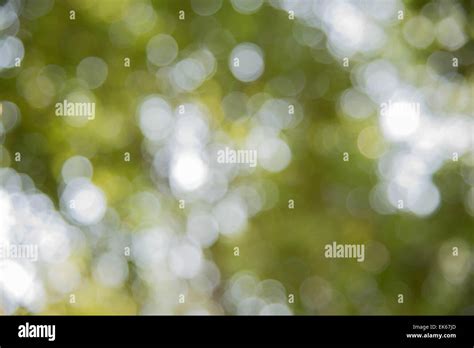Bokeh Blur From Natural Tree For Texture Background Stock Photo Alamy