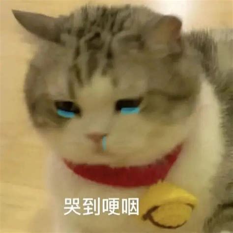 H Net