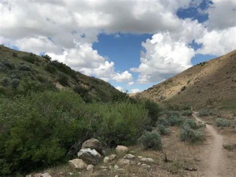 10 Best Hikes And Trails In Avimor Trail Network Alltrails