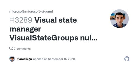 Visual State Manager VisualStateGroups Null Instead Of Crashed Visual State Issue