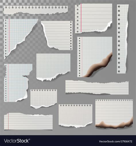 Pieces Of Torn White Lined Notebook Paper Square Vector Image