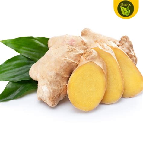 Luya Ginger Bulb Seeds 1 Pc For Planting Herb Lazada Ph