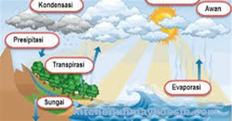 Proses Daur Air Pengertian Urutan Tahapan Dan Gambarnya Lengkap