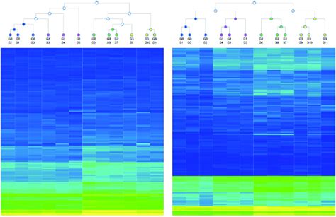 2 Way Hierarchal Clustering Of Technical Replicates As Visualized By
