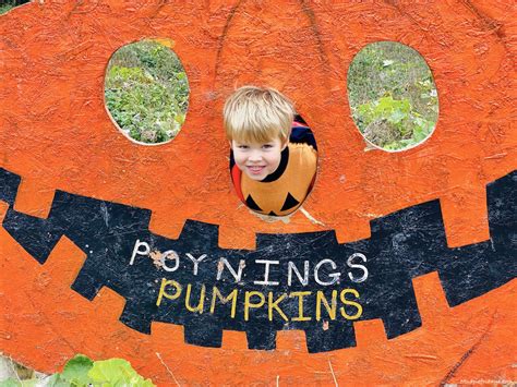 13 Best Places To Go Pumpkin Picking In Sussex In 2023