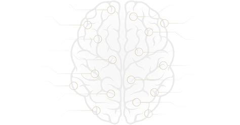 Computational And Theoretical Neuroscience The Brain Prize