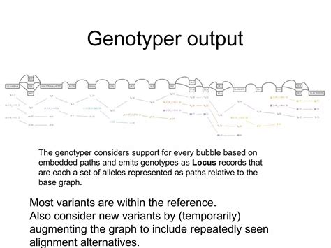 Variation Reference Graphs And The Variation Graph Toolkit Vg Ppt