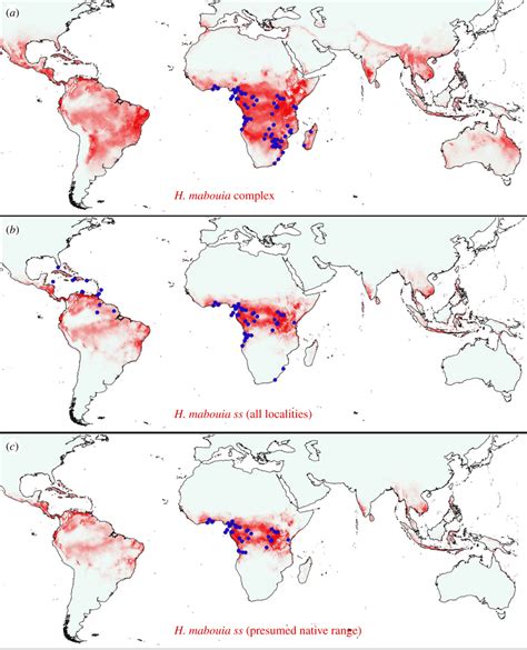 maxent species distribution models using the cloglog output for a