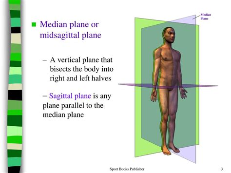 Median Plane