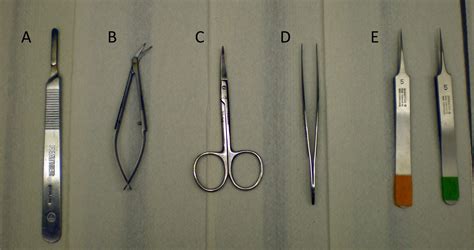 Figure 1 The Dissection Tools For Mouse Dissection And DRG Isolation