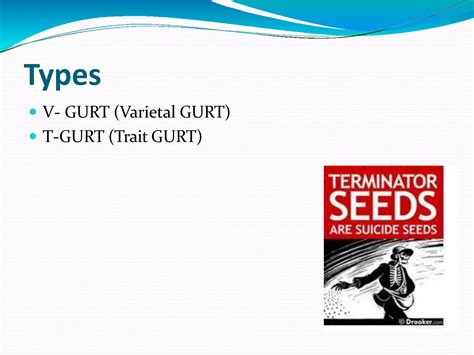 Terminator Seed Technology Ppt