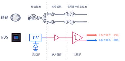 基于事件的视觉传感器（evs）技术 知乎