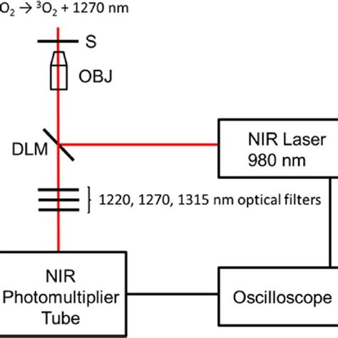 Near Infrared Light Nir 1 O 2 Luminescence Microscope Setup S Is Download Scientific Diagram
