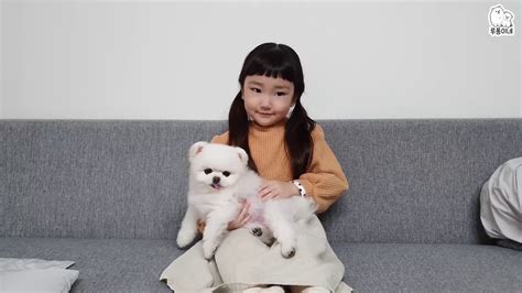 태어나서 처음으로 아기 품에 안겨 본 강아지 Youtube