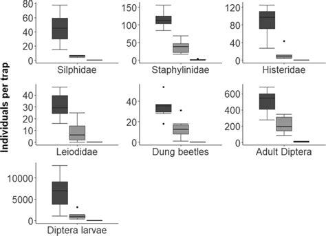 Boxplot Presenting Variation In Adult Beetle And Dipteran Abundances Download Scientific