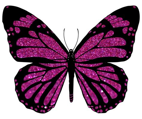 Pink And Black Butterfly Clipart Png