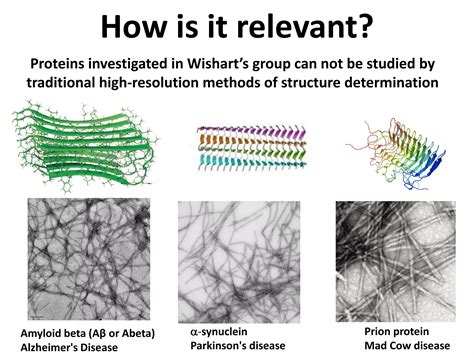 Protein Structure Determination From Hybrid Nmr Data Pdf