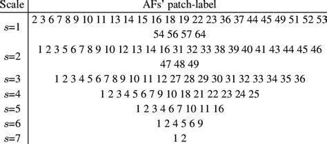 afs patch label under different scales on kdef dataset download