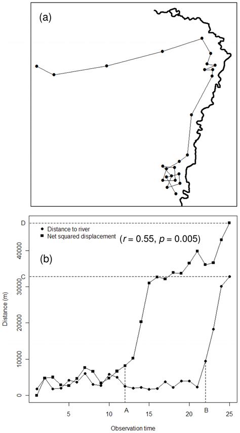 inference of migratory behaviour from net squared displacement a