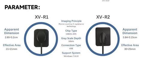 Supply X Ray Portable Dental Xray Digital Rvg Sensor Wholesale Factory