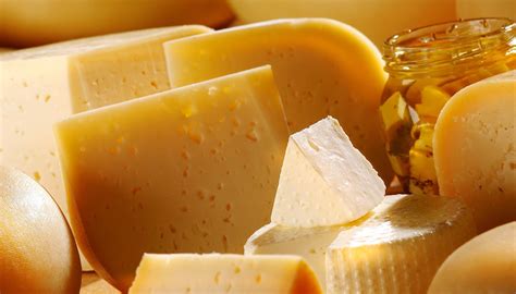 Nuevos usos para los excedentes de suero lácteo en la industria quesera Alimentación