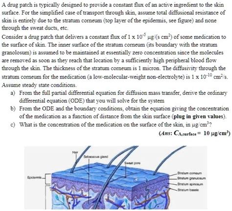 Drug Patch Is Typically Designed To Proride Constant Fux Of An Actire
