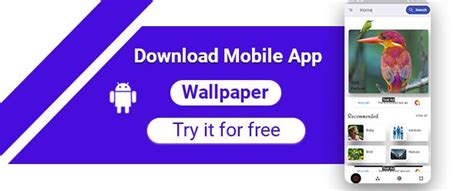 Flutter Hd Wallpaper Online Wallpaper App With Php Code Market