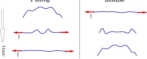 Two Basic Examples Of Dynamic Force Extension Experiments Pulling A
