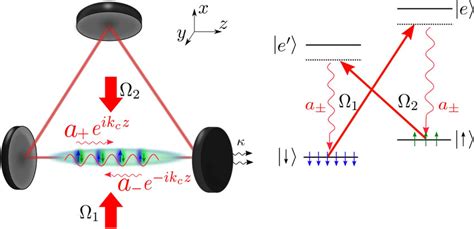 Schematic View Of The System And The Atomic Field Coupling The Download Scientific Diagram