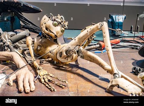 robotics and animatronics on display on a bench used to bring a character from the harry potter