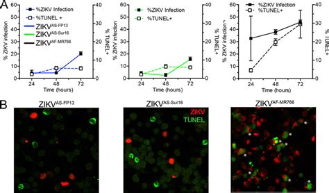 Ability To Cause Cell Death Of African And Asian Lineage Zikv Strains