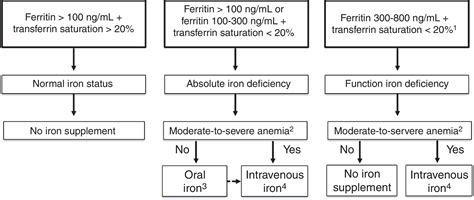 Is There A Role For Iron Supplementation In Critically Ill Patients