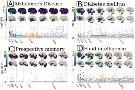 Phenotypic Landscape Of Human Brain Structural Covariance Download Scientific Diagram