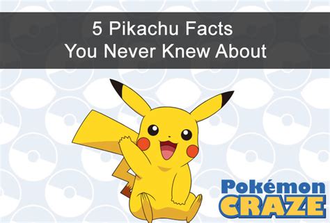 5 Pikachu Facts You Never Knew About · Pokemon · Pokemoncraze