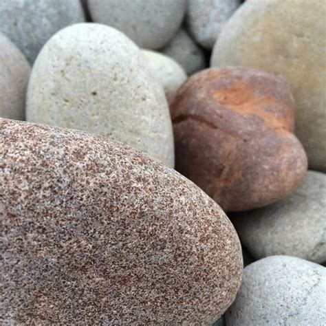 Brown 25mm Matte Pebble Stone At ₹ 250kg In Bengaluru Id 2853463339155