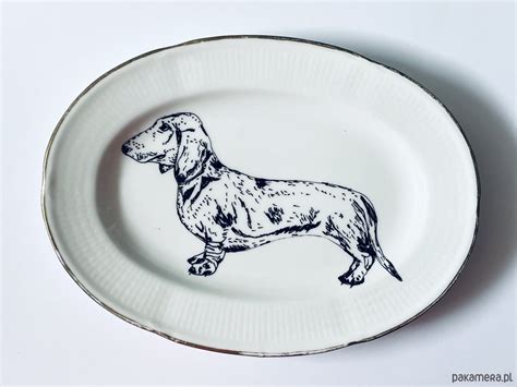 Jamniczek 3713429 Pakamera Pl