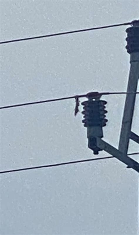 38 Tt Vat La Bam Tt Object Detection Dataset By Bdpc Ai Gd3