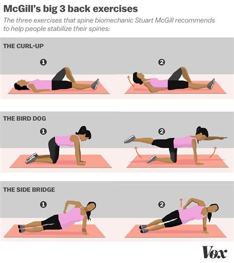Top Best Back Exercises Guide
