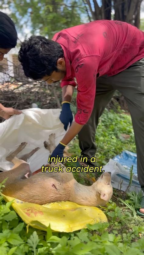 Mohamed Ashik We Received A Call From Andhra Pradesh From One Of Our Instagram Followers About