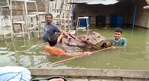 Jalaun Uttar Pradesh Villages Submerged In Floods Water Released From