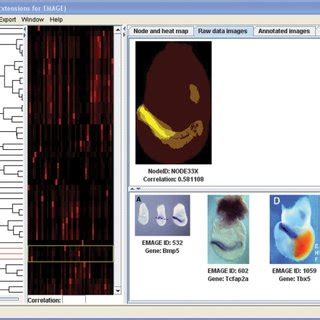 Display Of Spatial Pattern Comparison Hierarchical Clustering Results