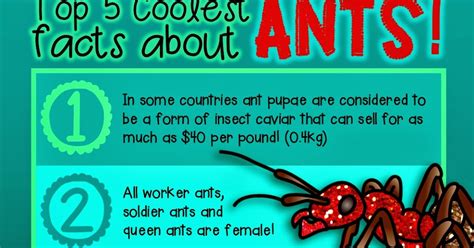 Green Grubs Garden Club Top 5 Coolest Facts About Ants