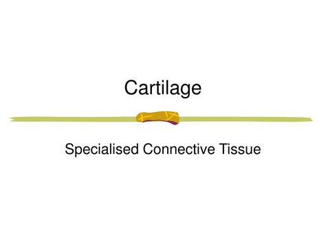 Ppt Cartilage Powerpoint Presentation Free Download Id9706924