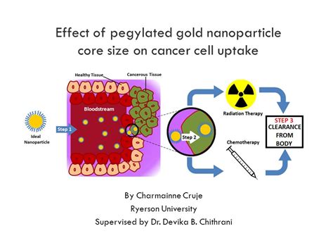 Gold Nanoparticles For Cancer Treatment Ppt Cancerwalls
