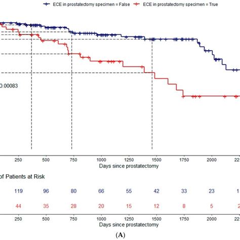 Estimation Of The Survival Curve For The Biochemical Recurrence Free