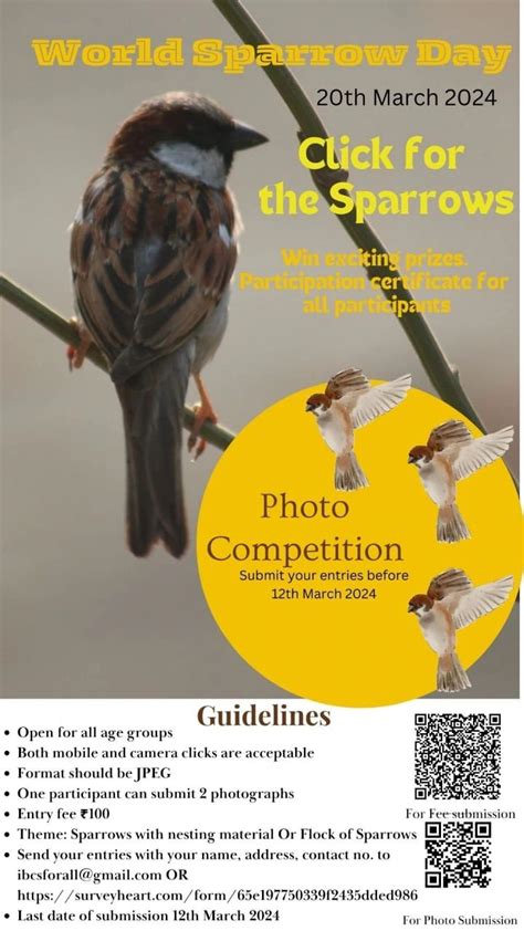 Dr Ashwini Kumar Sinha On Linkedin We Must Celebrate World Sparrow Day On 20th March 24 For