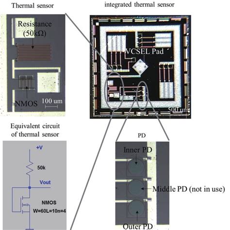 Color Online Structure Of The Optical Displacement Sensor And Thermal