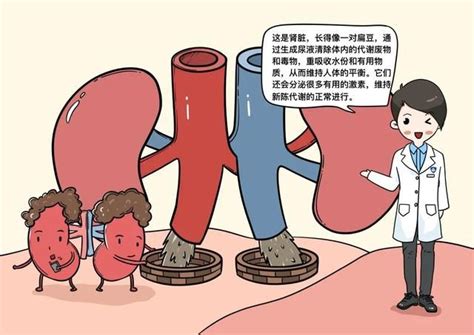尿毒症是拖出來的嗎？醫生提醒：若兩處發臭，晚上儘量做到三不要 壹讀