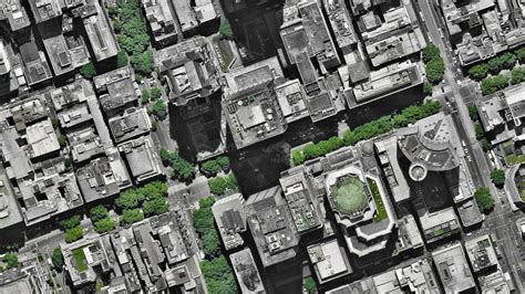 City Of Melbourne Tree Protection Policy The Quiet Achiever